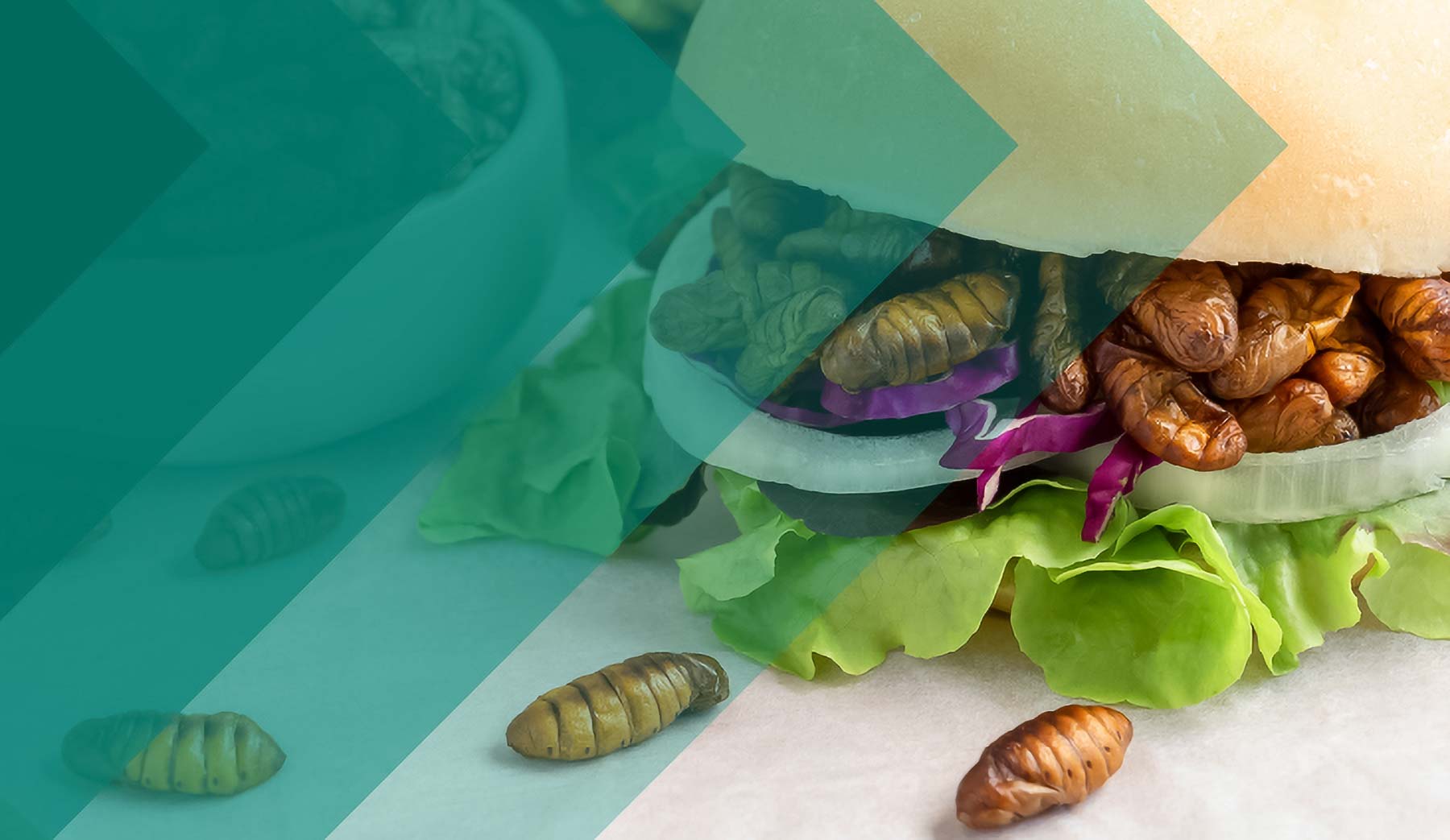 Kweekvlees groeit in het lab en in aandacht - Meatable | Real Meat ...